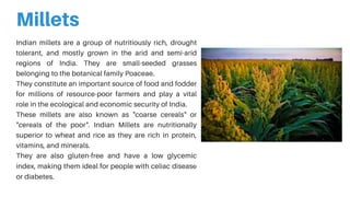 Millets - The magic grains and its benefits | PDF