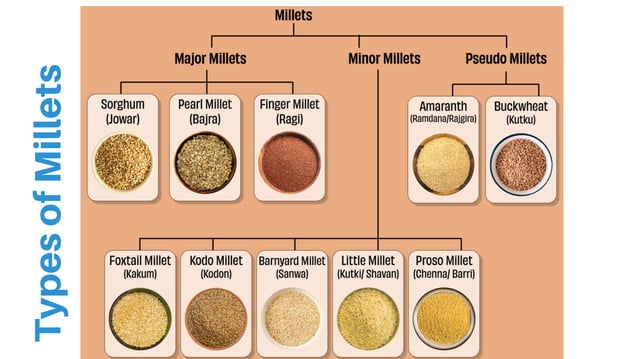 Millets - The magic grains and its benefits | PDF