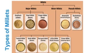 Millets - The magic grains and its benefits | PPT