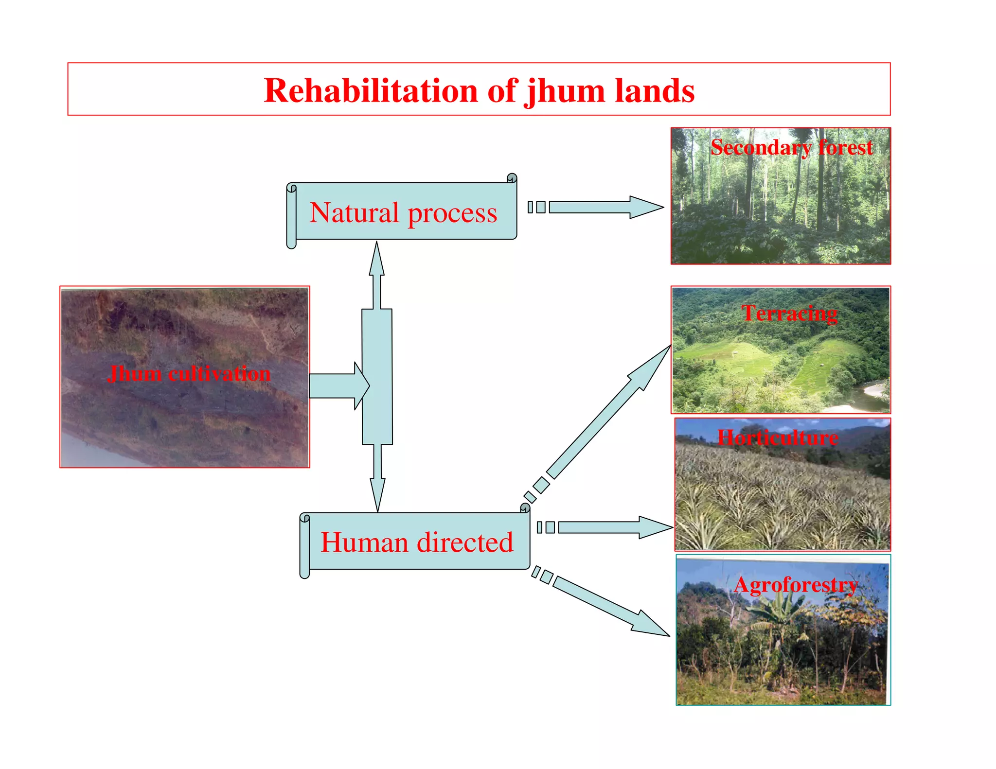 Millets, An Old Concept To Adapt To New Change | PDF