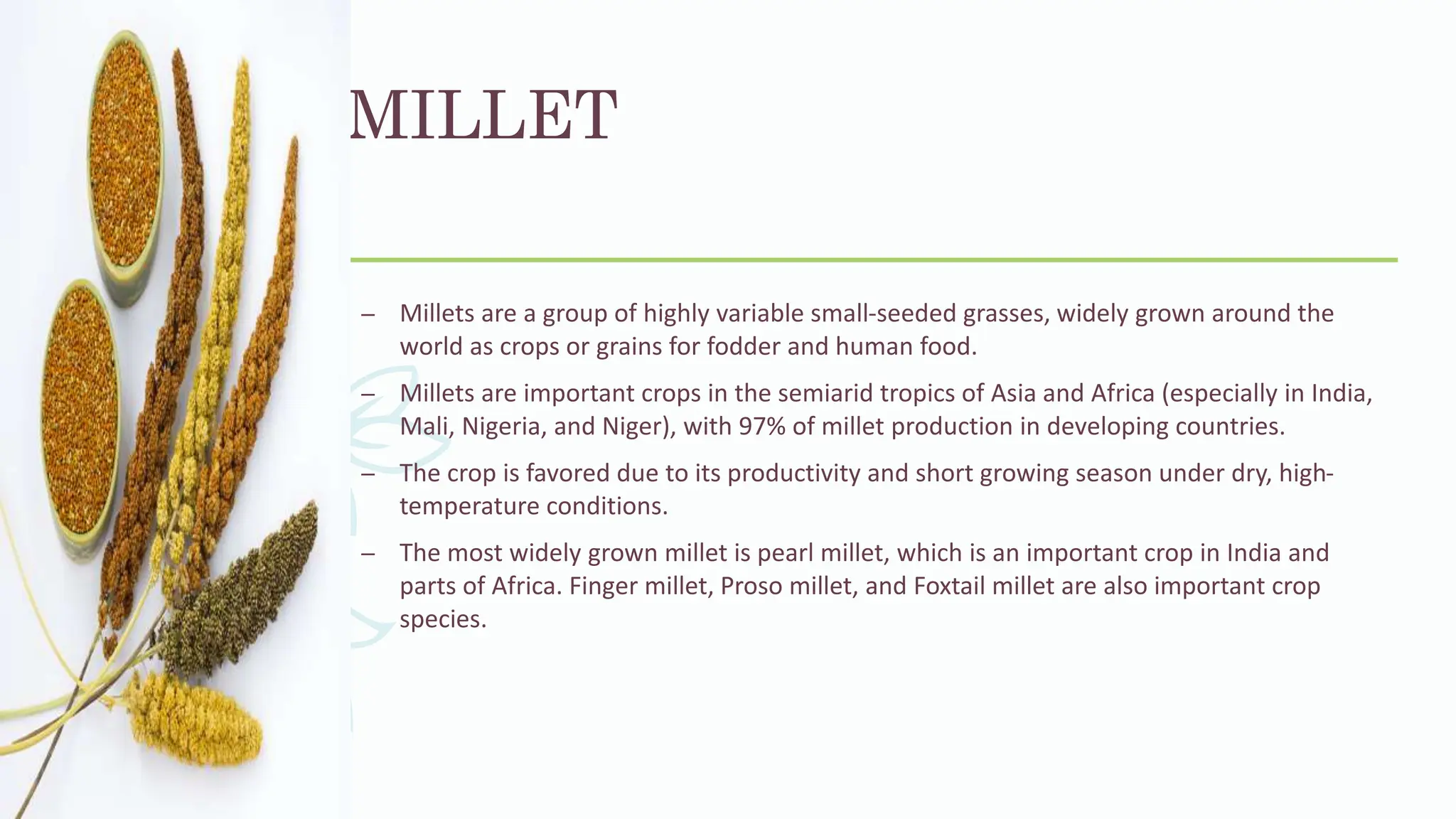 MILLETS FOR HEALTH AND SUSTAINABLE ENVIRONMENT 1.pptx