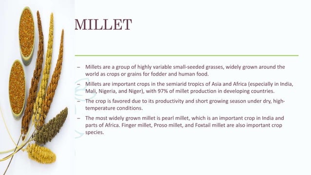 MILLETS FOR HEALTH AND SUSTAINABLE ENVIRONMENT 1.pptx