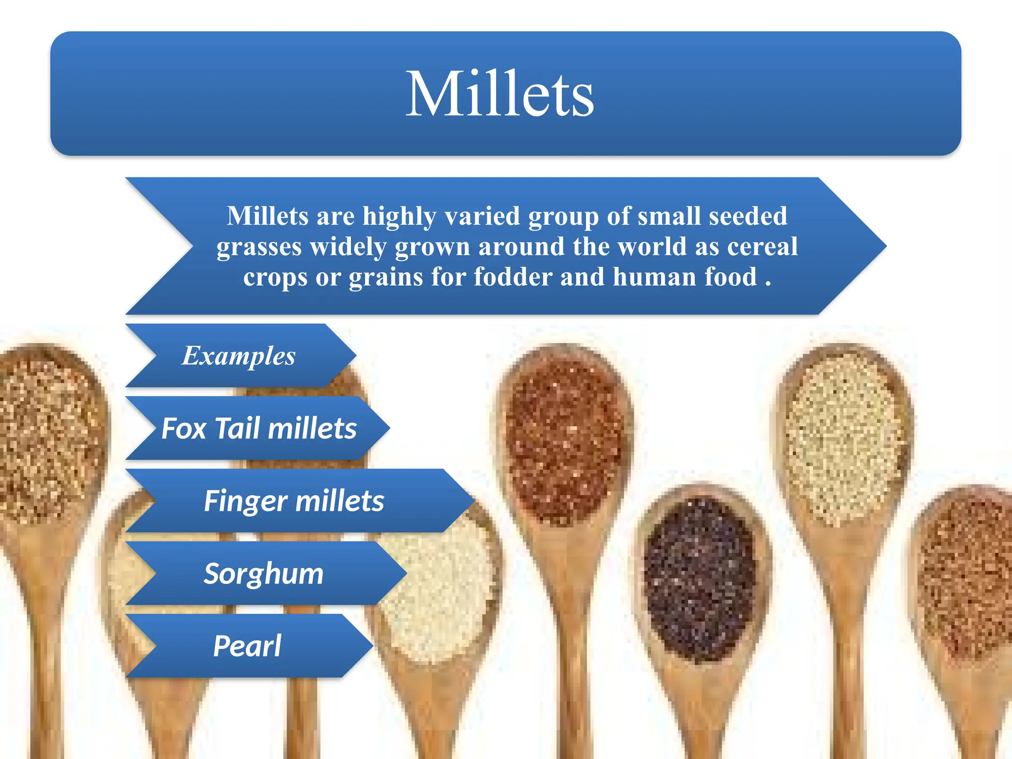 Millets - A super food or Diet Fad Tawheed Parvaiz Bhat | PPTX