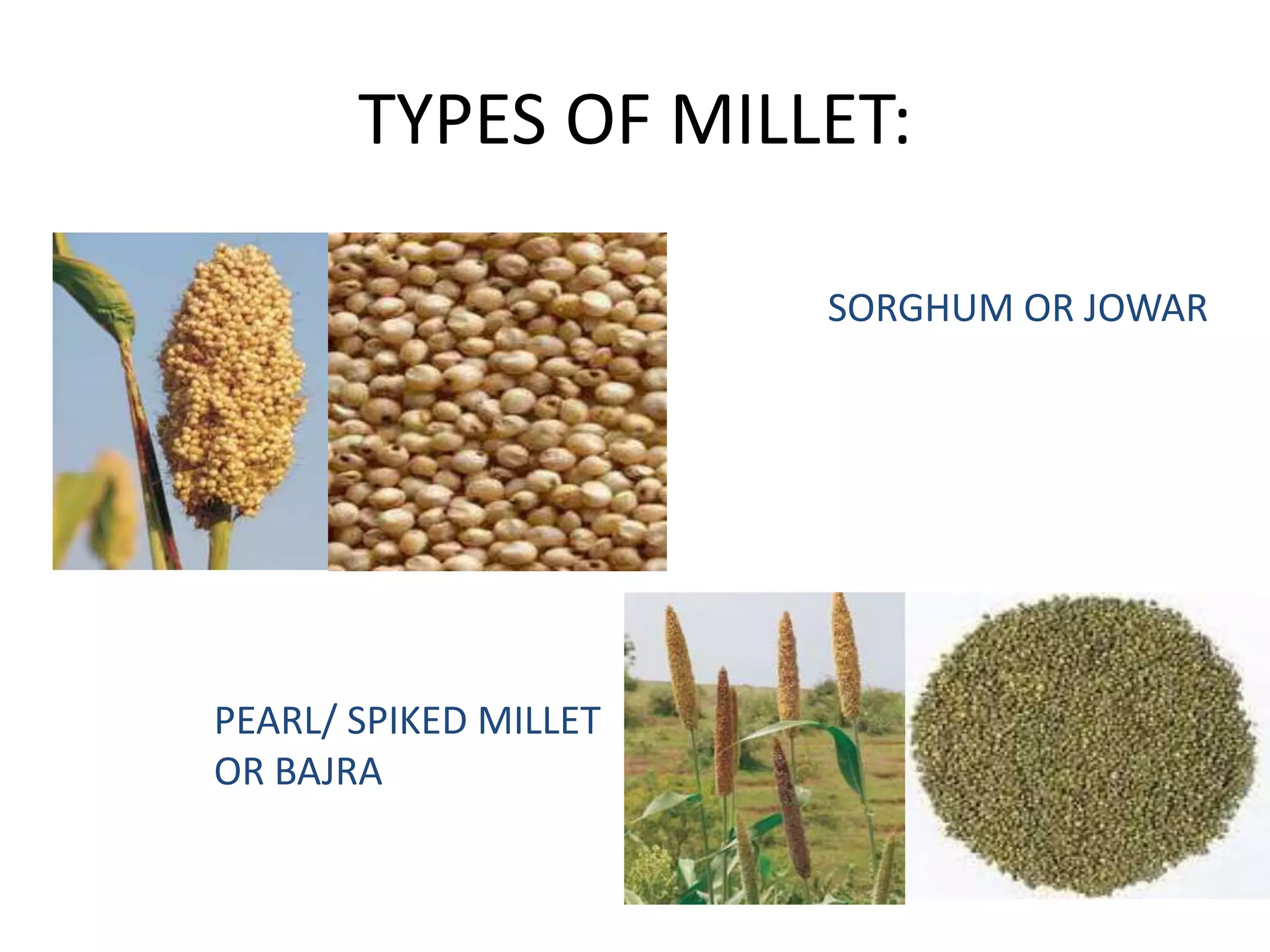 Millets | PPTX