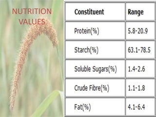 Millets | PPTX