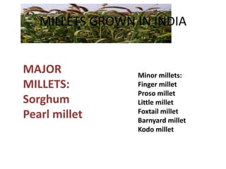 Millets | PPTX