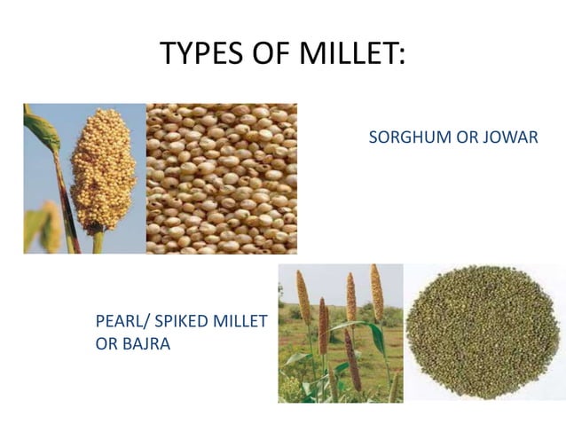 Millets | PPTX