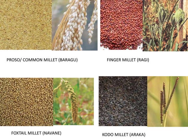 Millets | PPTX
