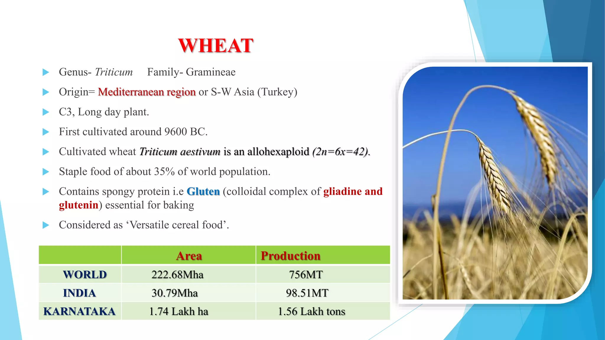 growth stages of wheat | PPTX
