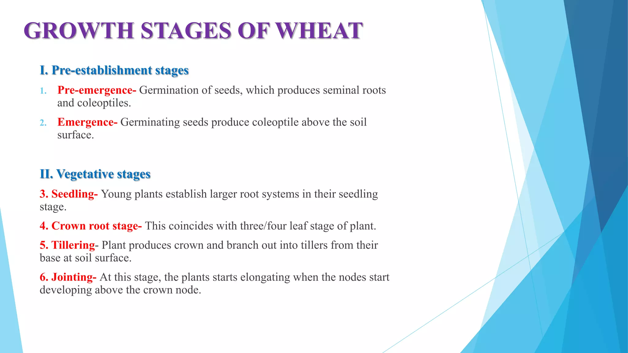 growth stages of wheat | PPTX