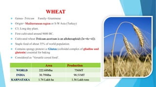 growth stages of wheat | PPTX