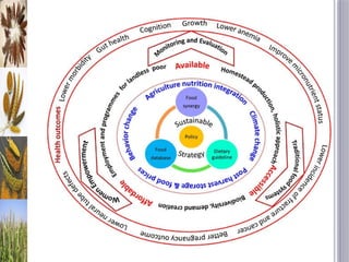 Millets ppt.pptx about millet informatio | PPT