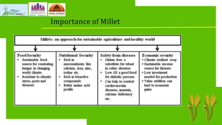 Magic Millets - 2023 | PDF