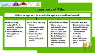 Magic Millets - 2023 | PDF