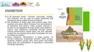 Magic Millets - 2023 | PDF