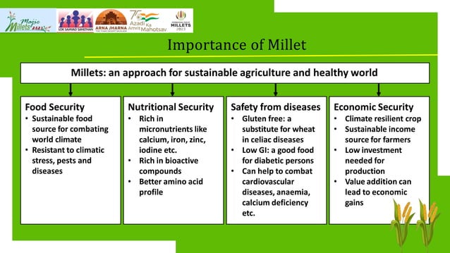 Magic Millets - 2023 | PPT