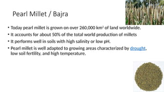 Millets Review of the Use and it's utility to the common man | PPT