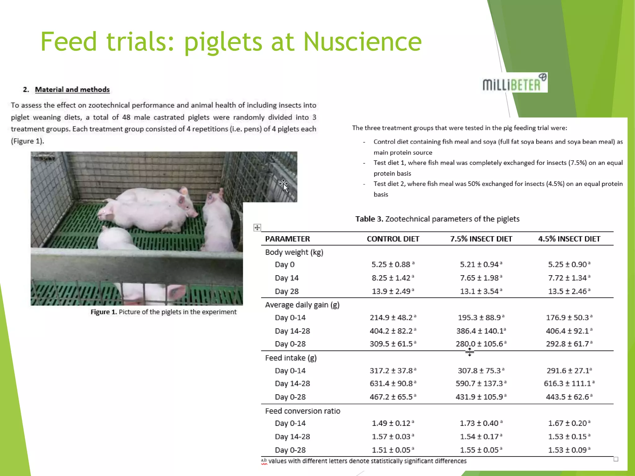 Insect Bioconversion - Nouchka De Craene, Millibeter | PPTX
