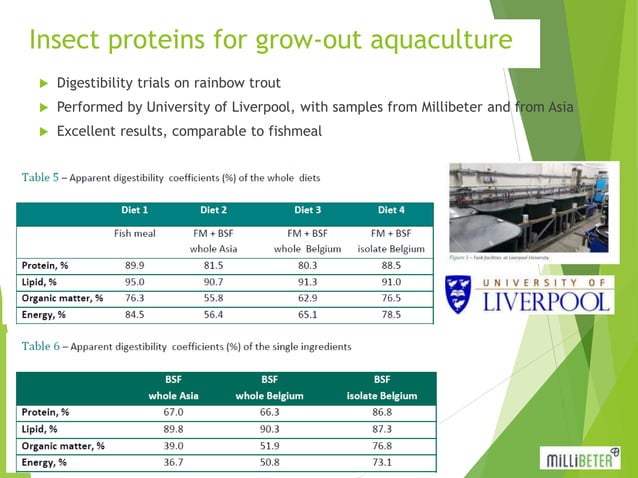 Insect Bioconversion - Nouchka De Craene, Millibeter | PPTX