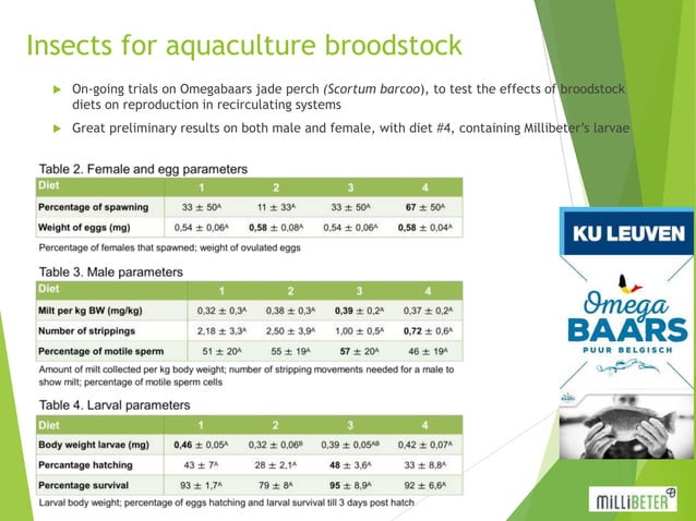 Insect Bioconversion - Nouchka De Craene, Millibeter | PPTX