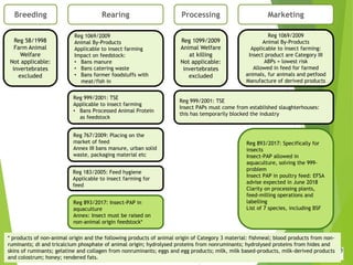 Insect Bioconversion - Nouchka De Craene, Millibeter | PPT