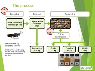 Insect Bioconversion - Nouchka De Craene, Millibeter | PPT