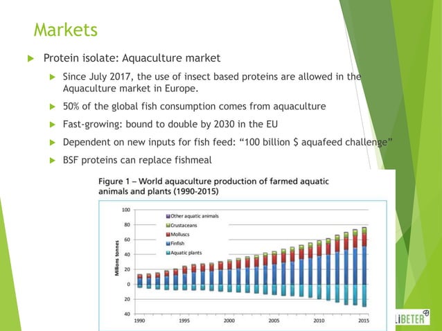 Insect Bioconversion - Nouchka De Craene, Millibeter | PPTX