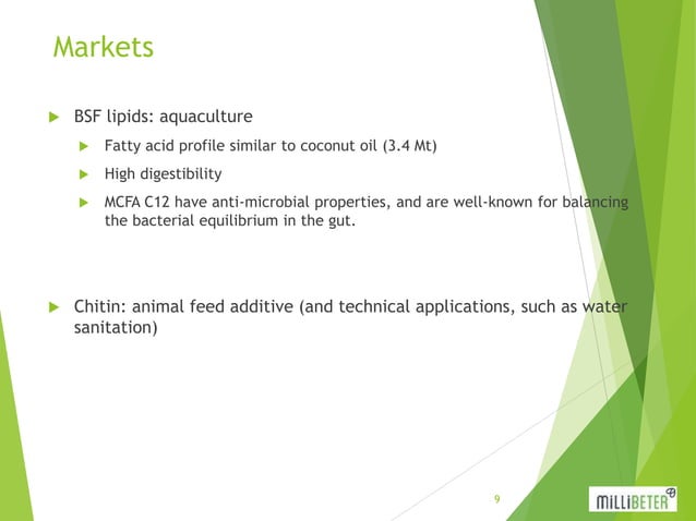 Insect Bioconversion - Nouchka De Craene, Millibeter | PPTX