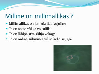 Millimallikad | PPTX