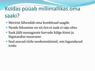Millimallikad | PPTX
