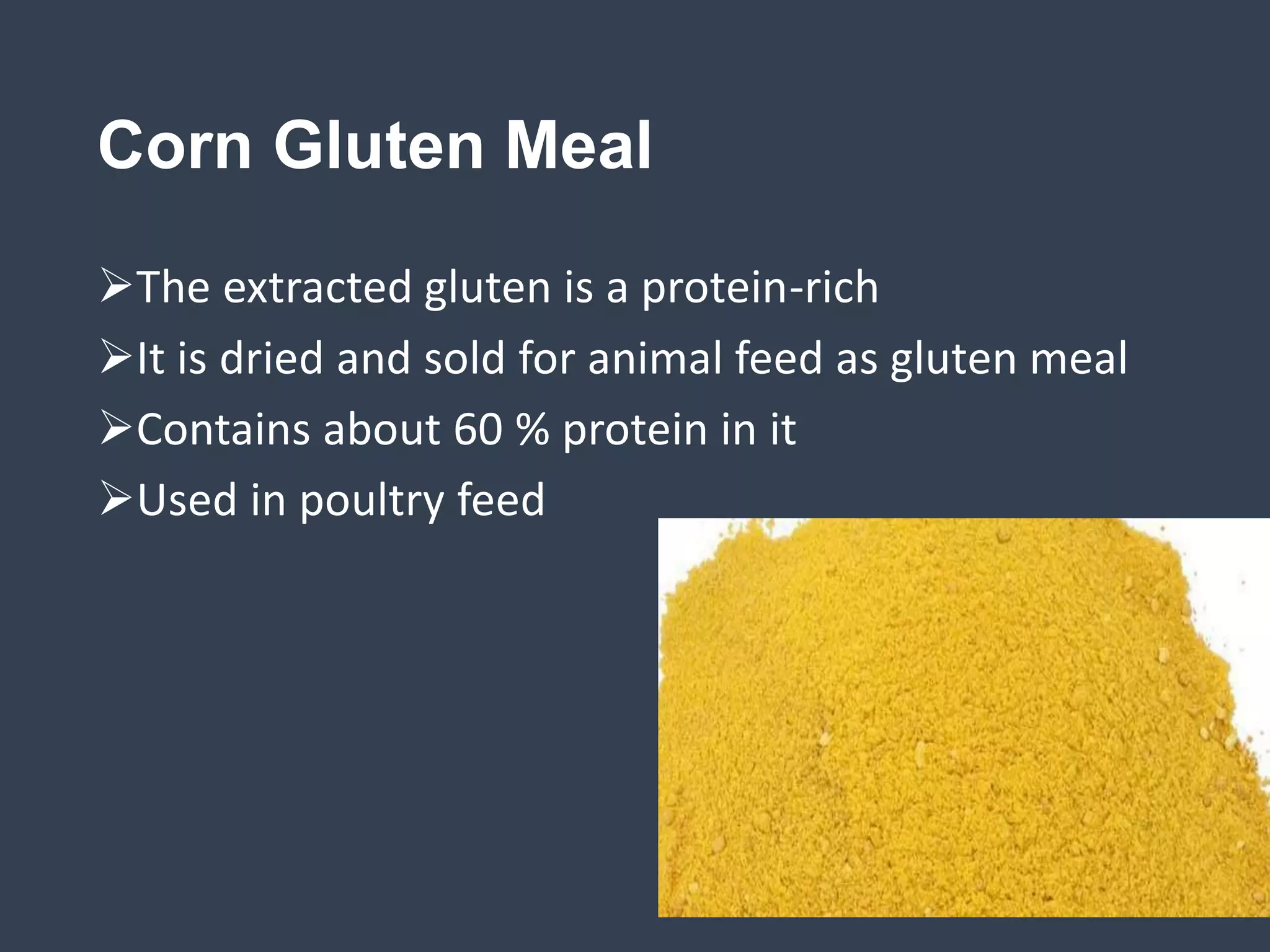 Milling of corn.ppt | Cooking | Food & Drink