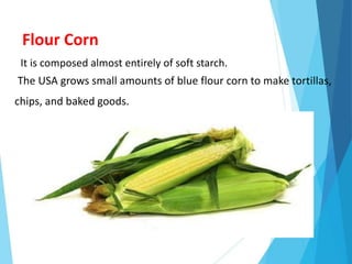 Milling of corn.ppt