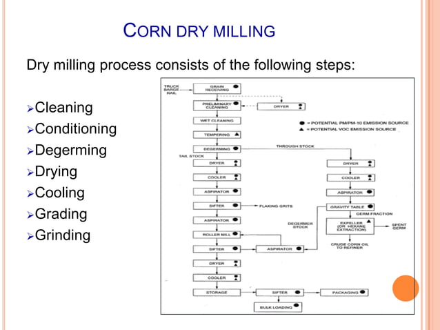 Milling of corn.ppt | Cooking | Food & Drink