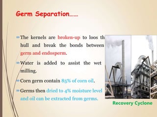Milling of corn.ppt