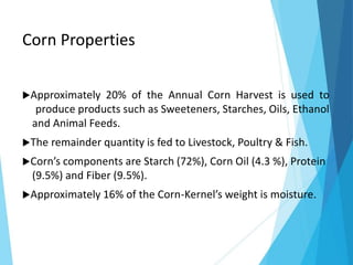 Milling of corn.ppt