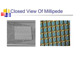 Millipedememory | PPT