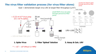 Parvovirus Filtration Best Practices - 25 Years of Hands-On Experience ...