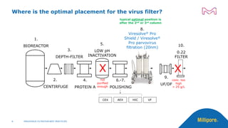 Parvovirus Filtration Best Practices - 25 Years of Hands-On Experience ...