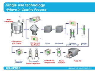 Use of single-use technology in Aseptic processing of vaccines ...