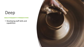 Dimensions of Change: Educational Developers as Change Agents, Laura ...