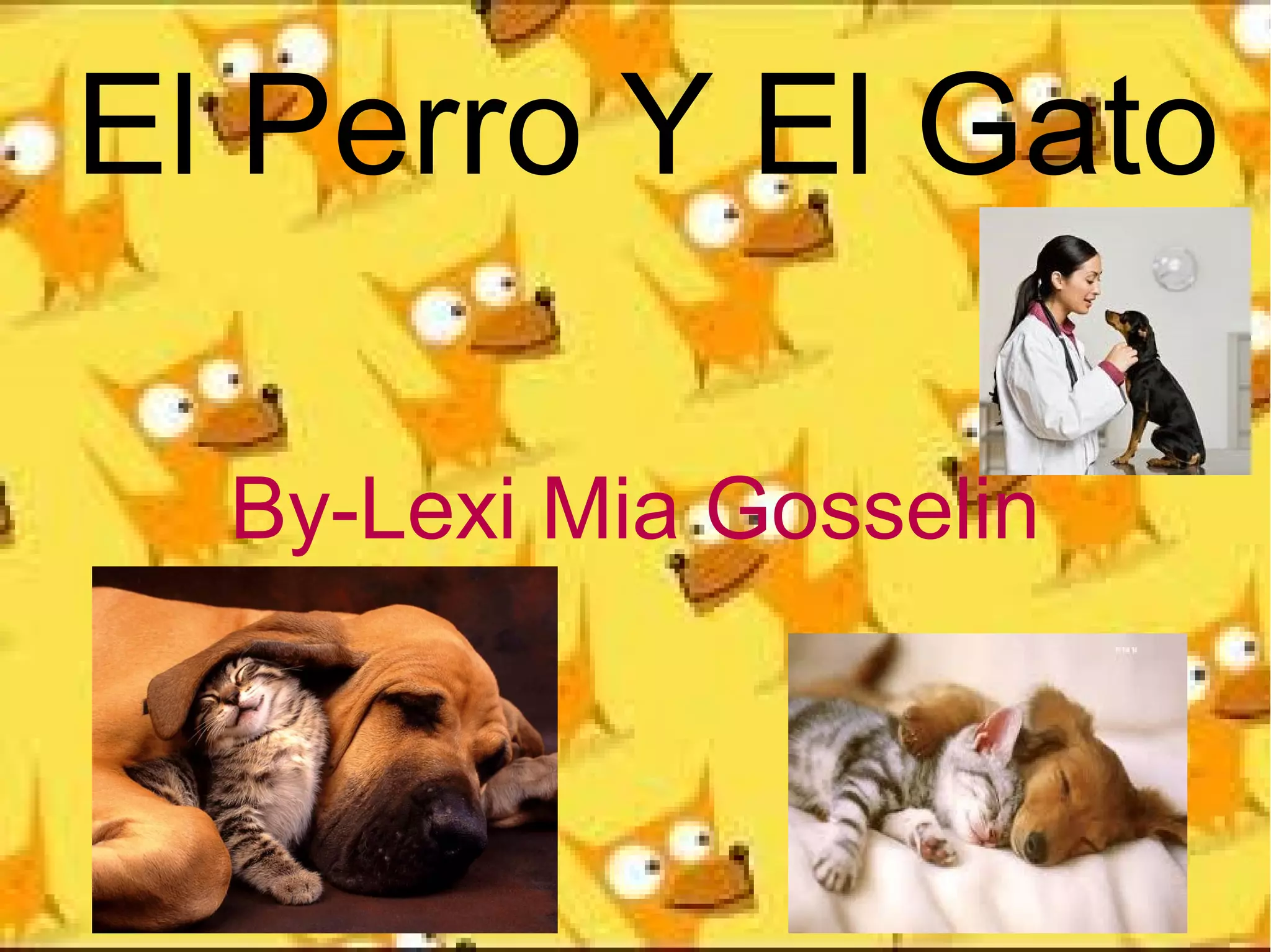 El perro y el gato-veterinario | PPT