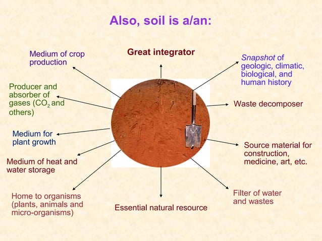Chemical and Microbial Analysis of Soil | PPT | Gardening | Home & Garden