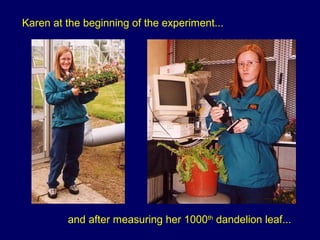 Milton defra | PPT