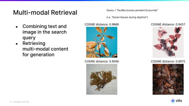 Multimodal Retrieval Augmented Generation (RAG) with Milvus | PDF