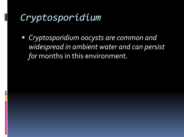 Milwaukee disaster- An overview | PPTX