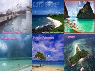 Rehiyon IV-B (Mimaropa) | PPT