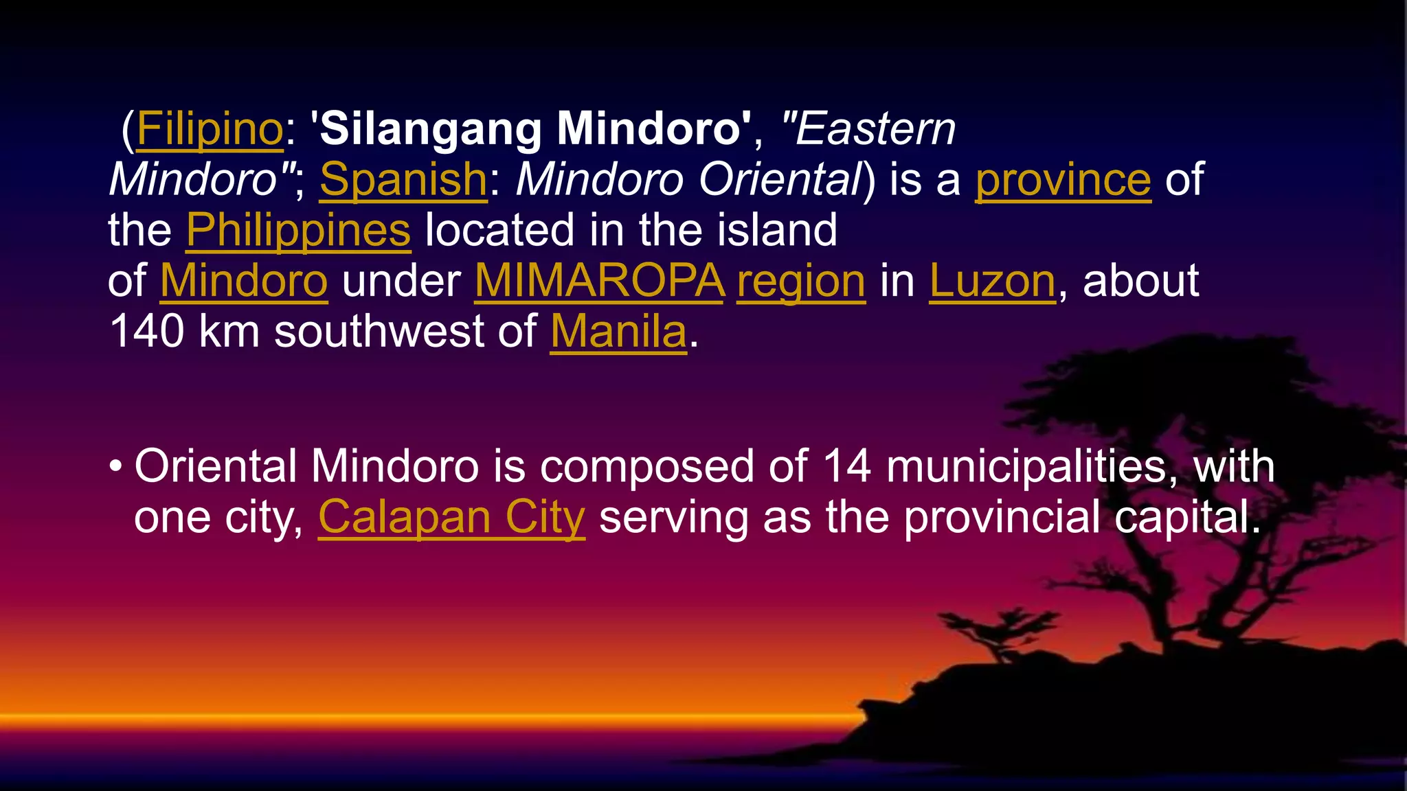 MIMAROPA (Region 4B) | PPTX