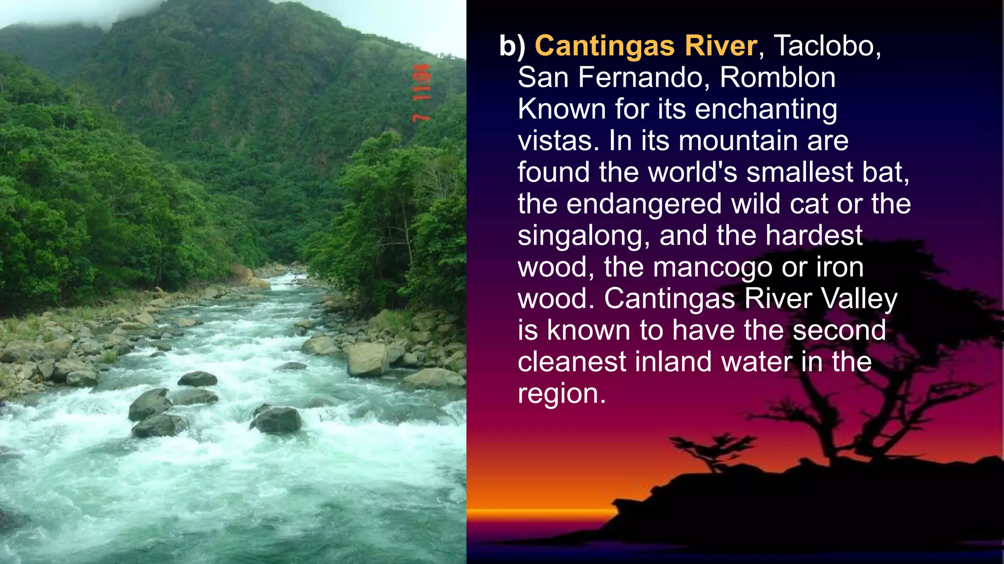 MIMAROPA (Region 4B) | PPTX