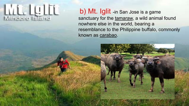 MIMAROPA (Region 4B) | PPTX