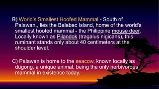 MIMAROPA (Region 4B) | PPTX